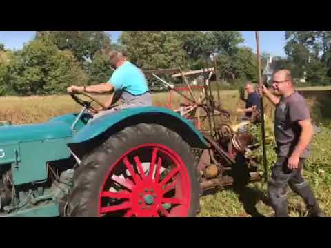 Oogsten Boekweit - YouTube