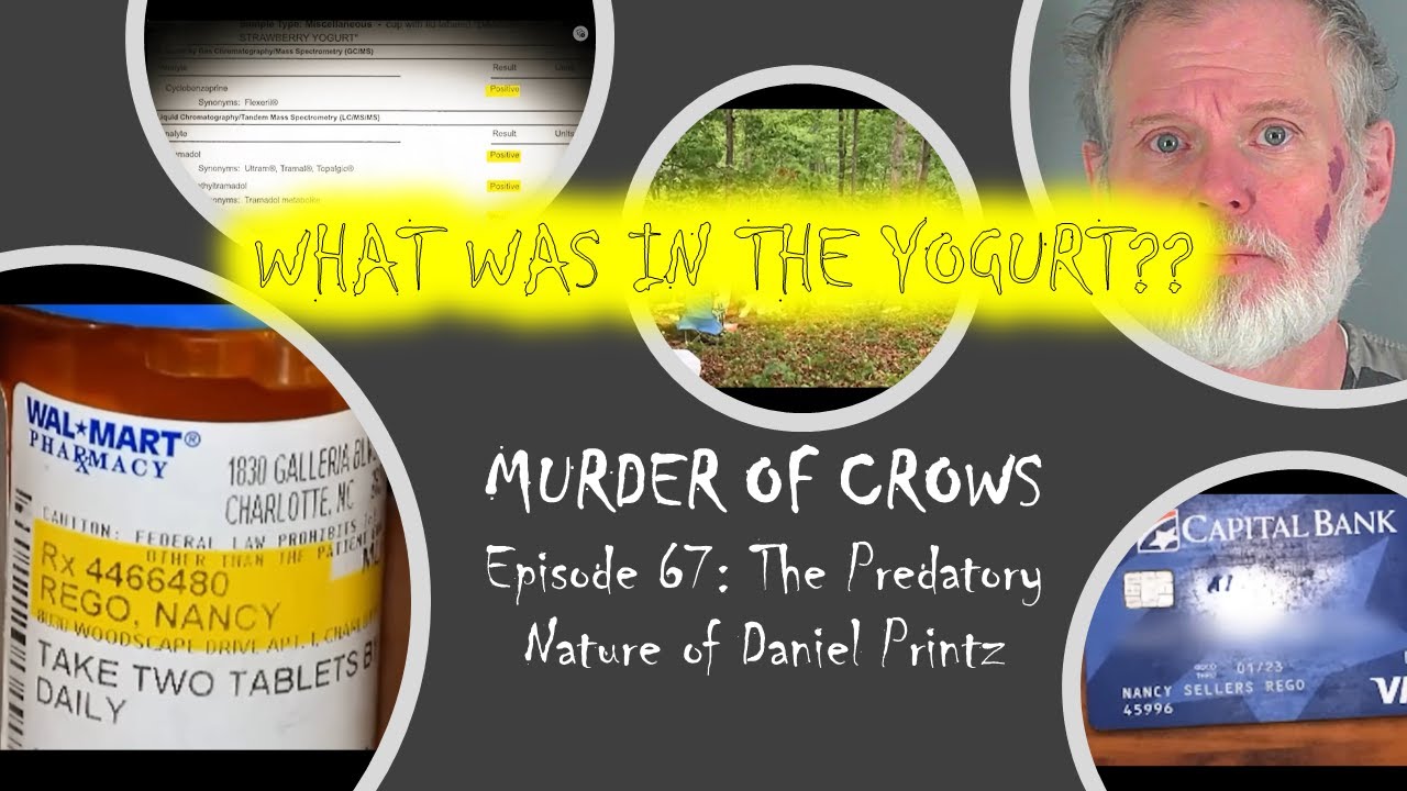 Murder of Crows Episode 67 The Predatory Nature of Daniel Printz - YouTube