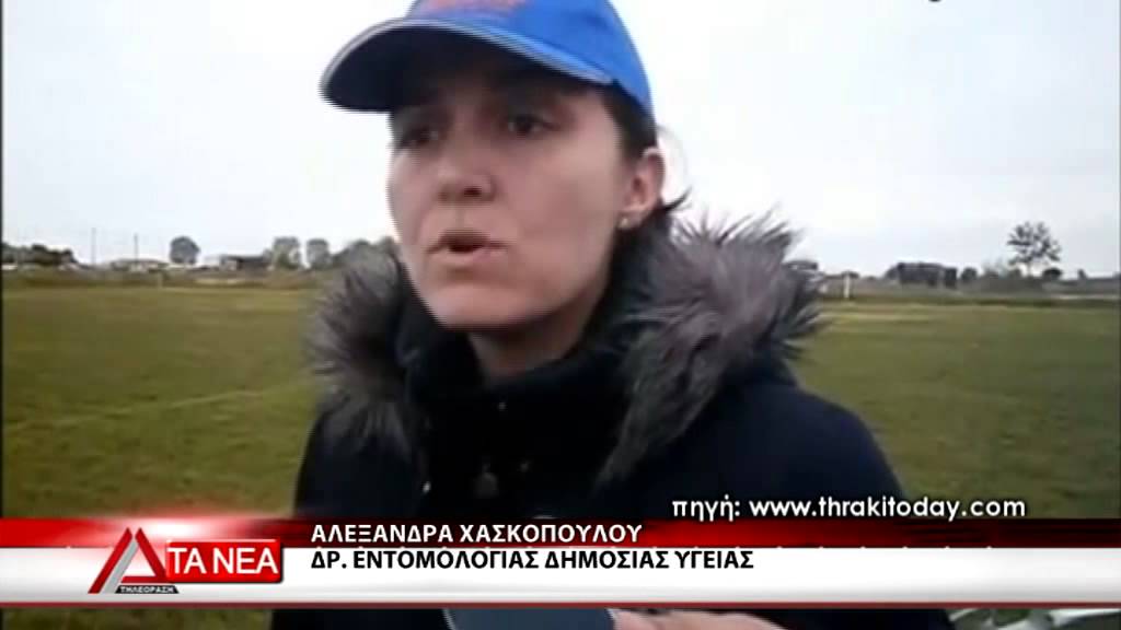 ΣΤΟΧΕΥΜΕΝΟΙ ΨΕΚΑΣΜΟΙ ΚΑΤΑ ΤΩΝ ΚΟΥΝΟΥΠΙΩΝ - YouTube