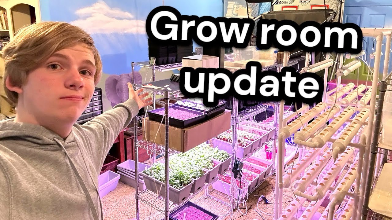 Grow room update - YouTube