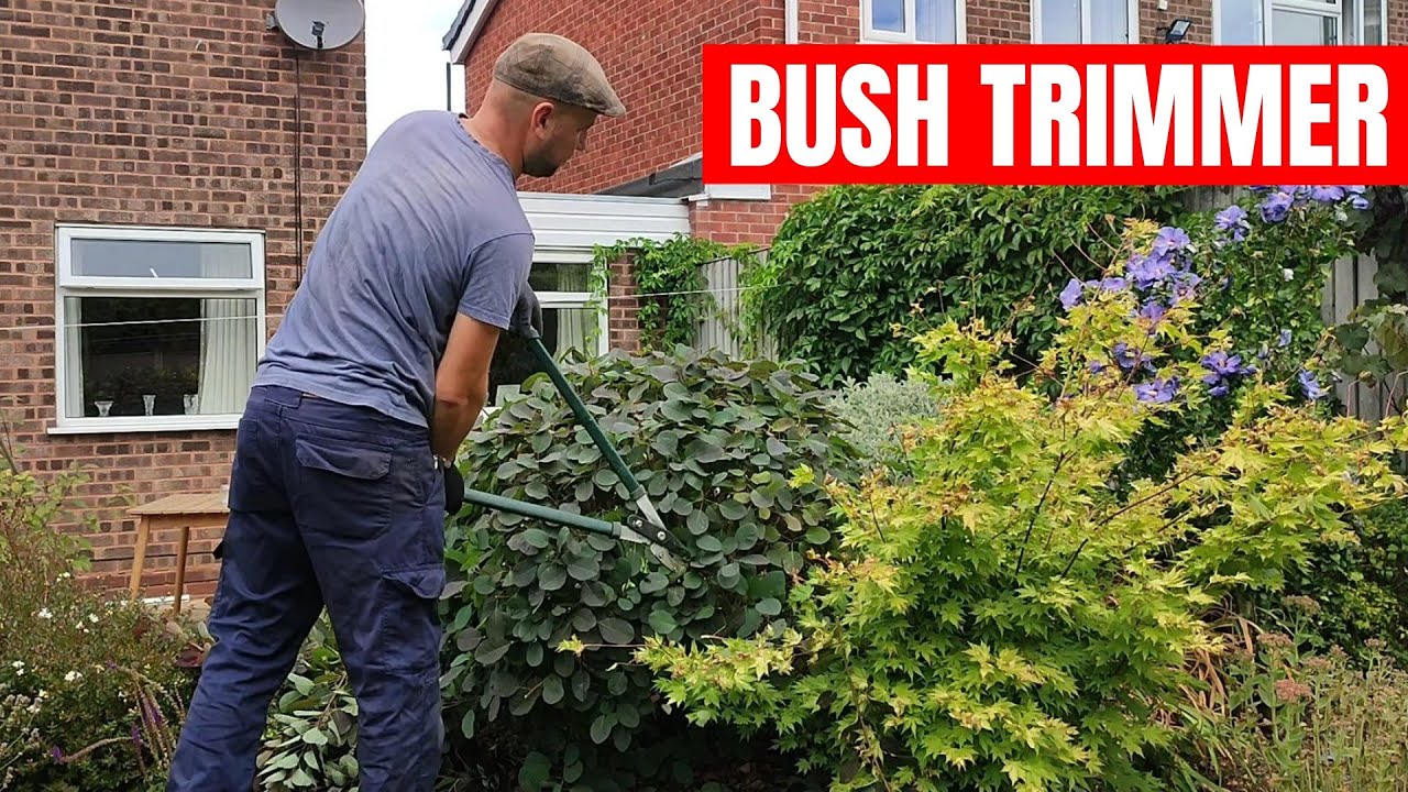 QUIETLY Trimming BUSHES in the Back Yard - YouTube