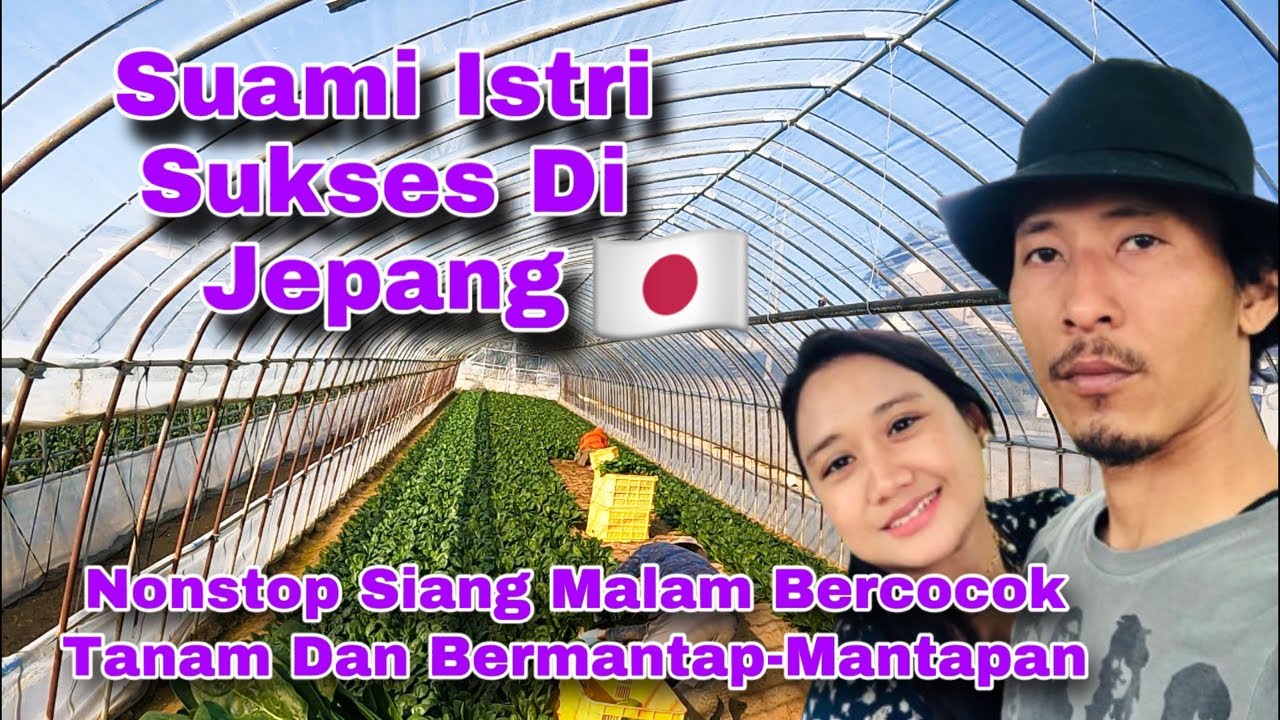 Suami istri tinggal bareng di jepang bisa bercocok tanam trus - YouTube