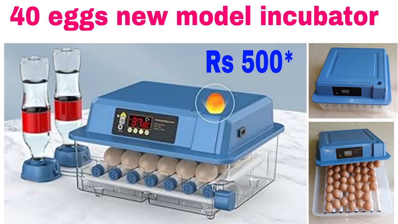 40 eggs new model incubator | Ande se bacche nikaalne wala machine ...
