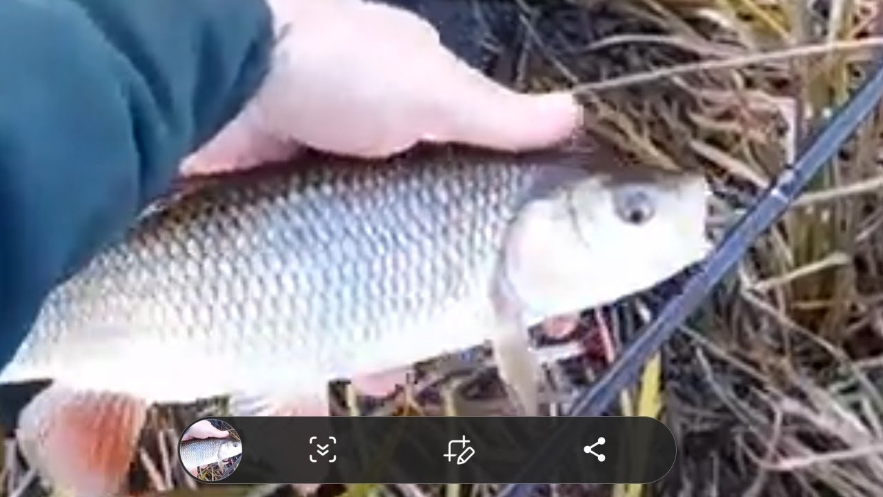 Bodorka és a Hercegnő! Horgászat! Amazing Fishing FHD! - YouTube