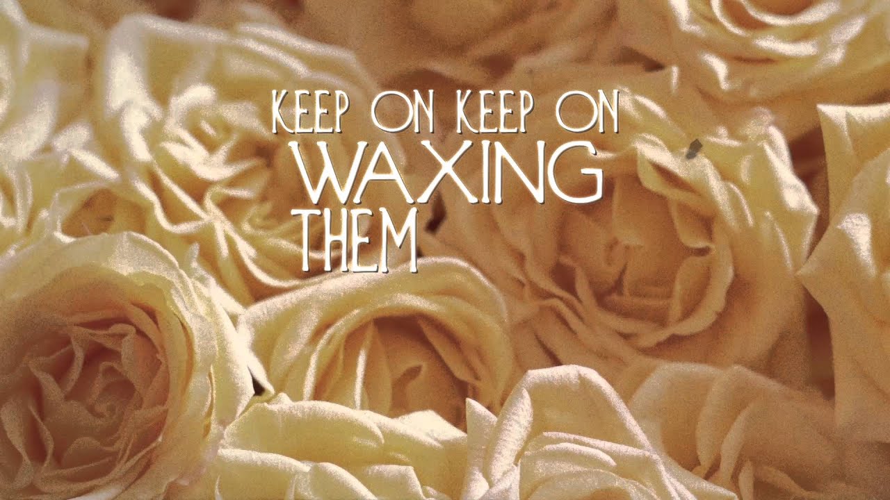 Kree Harrison - This Old Thing (Lyric Video) - YouTube