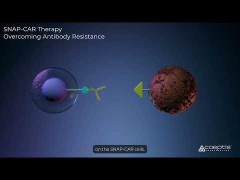 SNAP-CAR: Immune Cell-Based Therapy for Oncology and Autoimmune Diseases