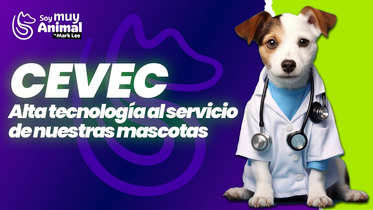 Conozca CEVEC un lugar en Bogotá con la más ALTA TECNOLOGÍA MÉDICA al ...