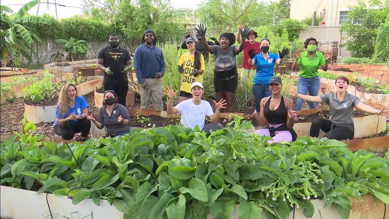 Nonprofit turns food deserts into beautiful fruit and vegetable gardens ...