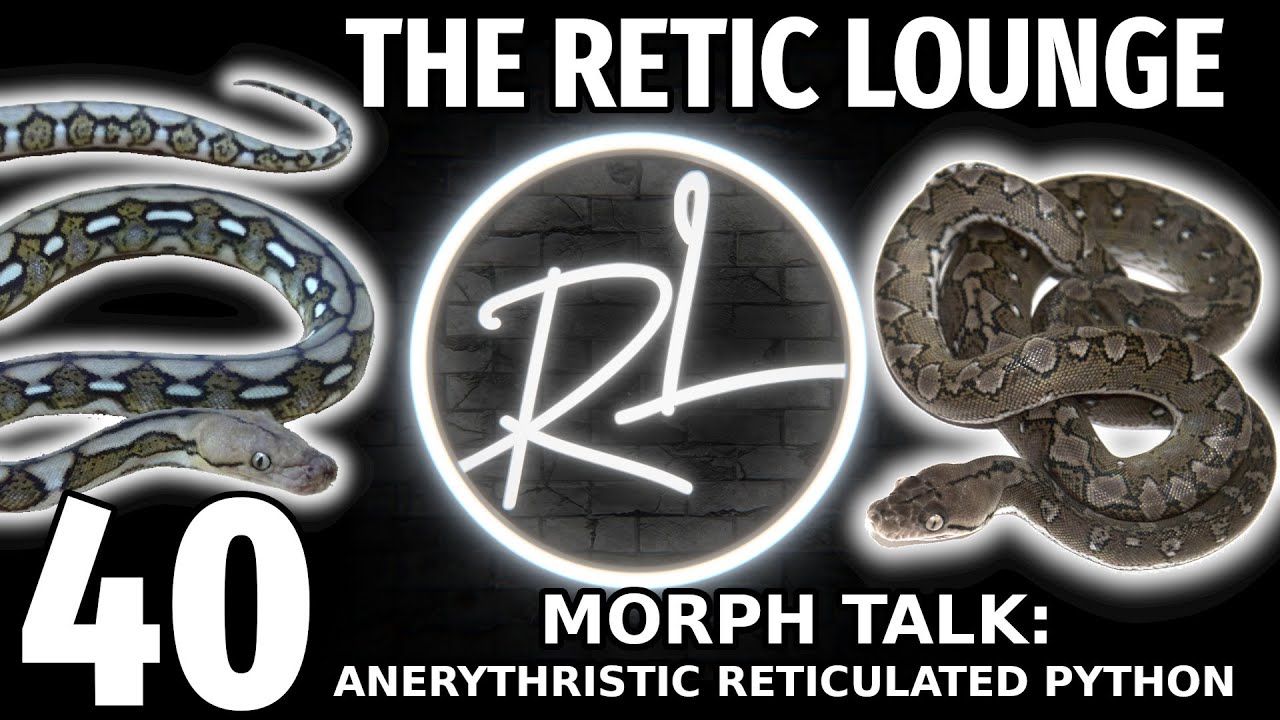 MorphTalk: Anery | The Retic Lounge #40 - YouTube