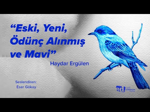 Eski, Yeni, Ödünç Alınmış ve Mavi | Haydar Ergülen