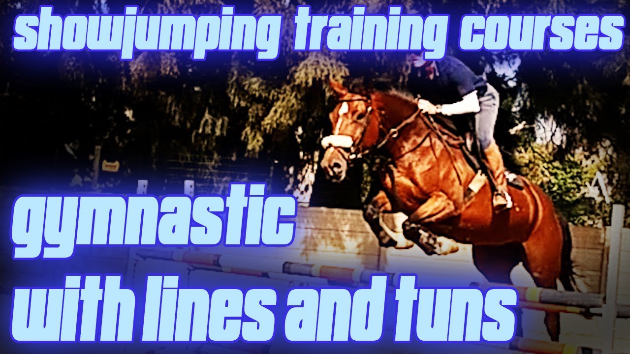Show jumping training courses - Gymnastic with lines and turnes - YouTube