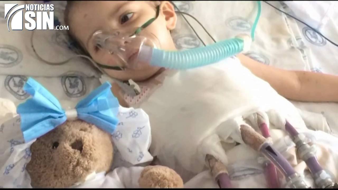 Gracias a clonación de corazón artificial niña de 4 años se mantiene ...