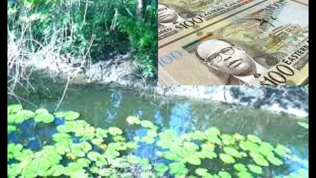 HOW BAD FARMING PRACTICES AFFECT OUR HEALTH AND MONEY - YouTube