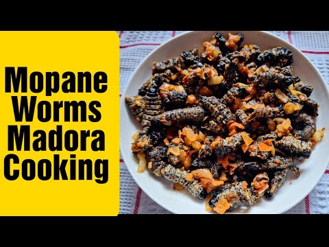 How to cook mopane worms - Masonja - -Madora - Zimbabwean food - YouTube