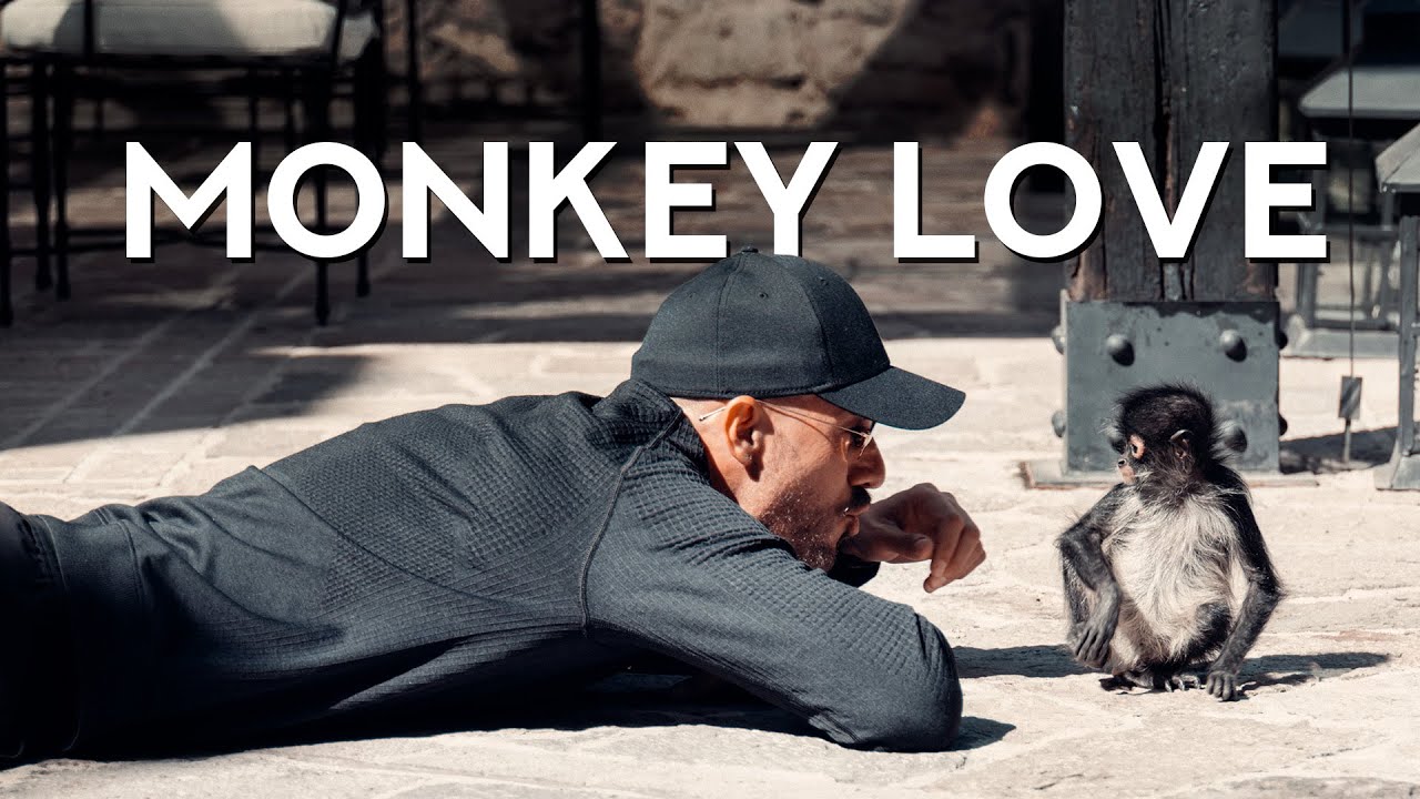 34 - Monkey love | Diego Dreyfus - YouTube