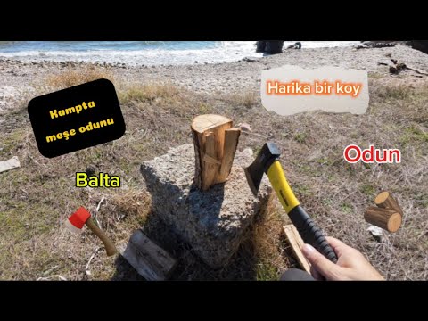 The scent of fragrant oak wood came to the camera#discovermehighlight# ...