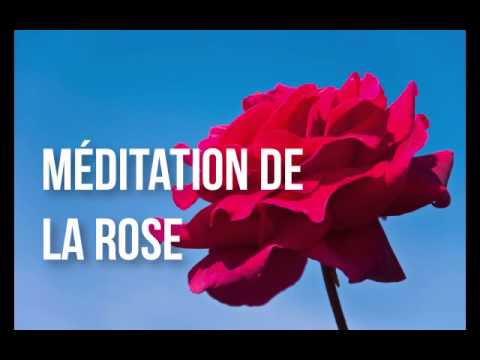 Méditation de la Rose - Rose Meditation in French (Chiara's voice ...