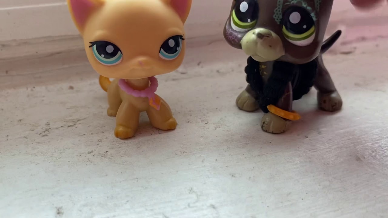 LPS Shorthair Cat 3573 & LPS Grant Dane 184 - YouTube