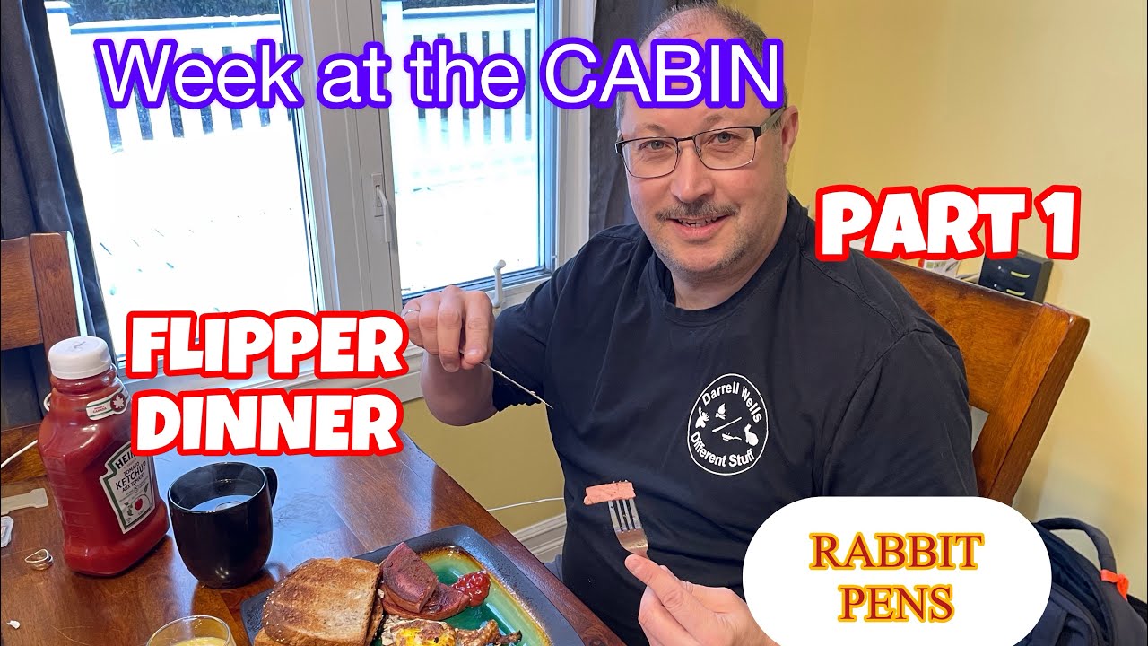 WEEK AT THE CABIN PART 1 - CHECKING THE SNARE LINE - FLIPPER DINNER ...