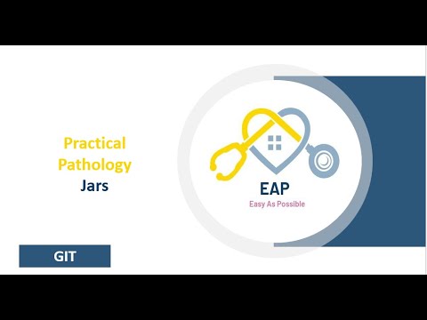 practical - pathology - jars - GIT - YouTube