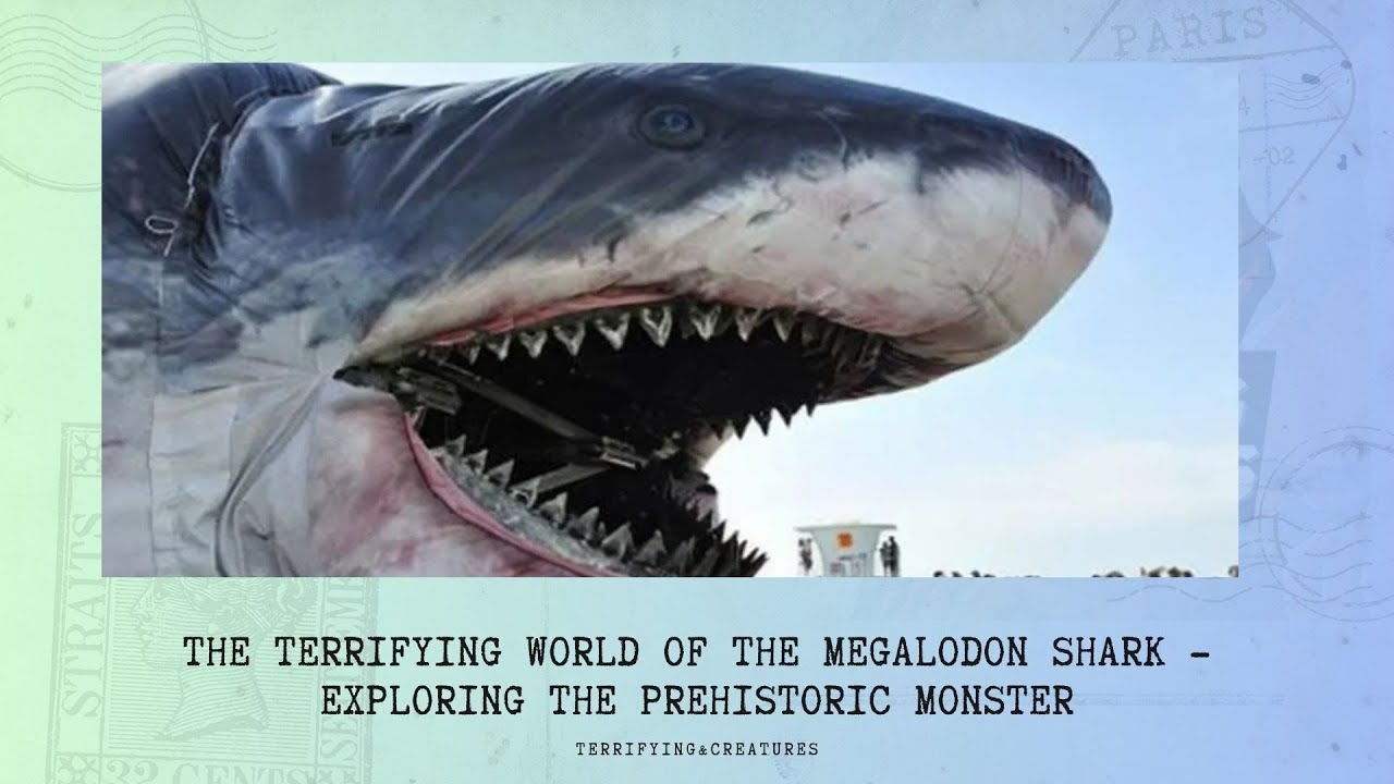 The Terrifying World of the Megalodon Shark Exploring the Prehistoric ...