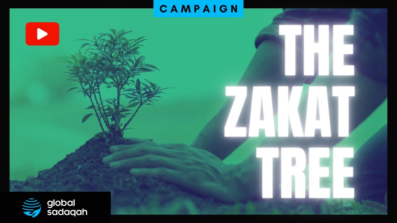 THE ZAKAT TREE: Plant a Tree Through Zakat - YouTube