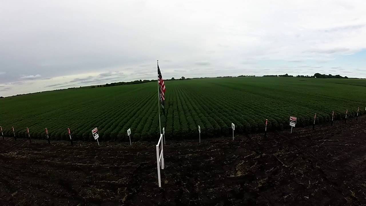 Agrology Crop & Soil Corn and Soybean Test Plots 2016 - YouTube
