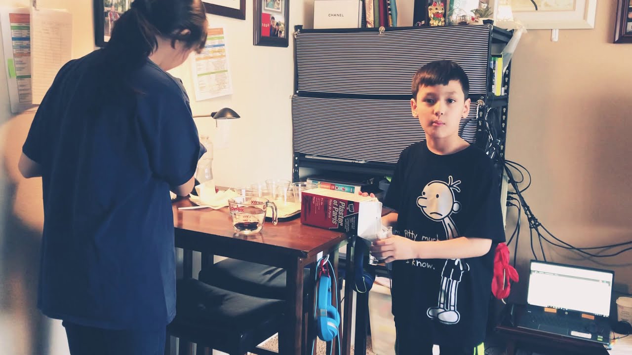 Science project, growing Lima beans in Paris plaster. - YouTube