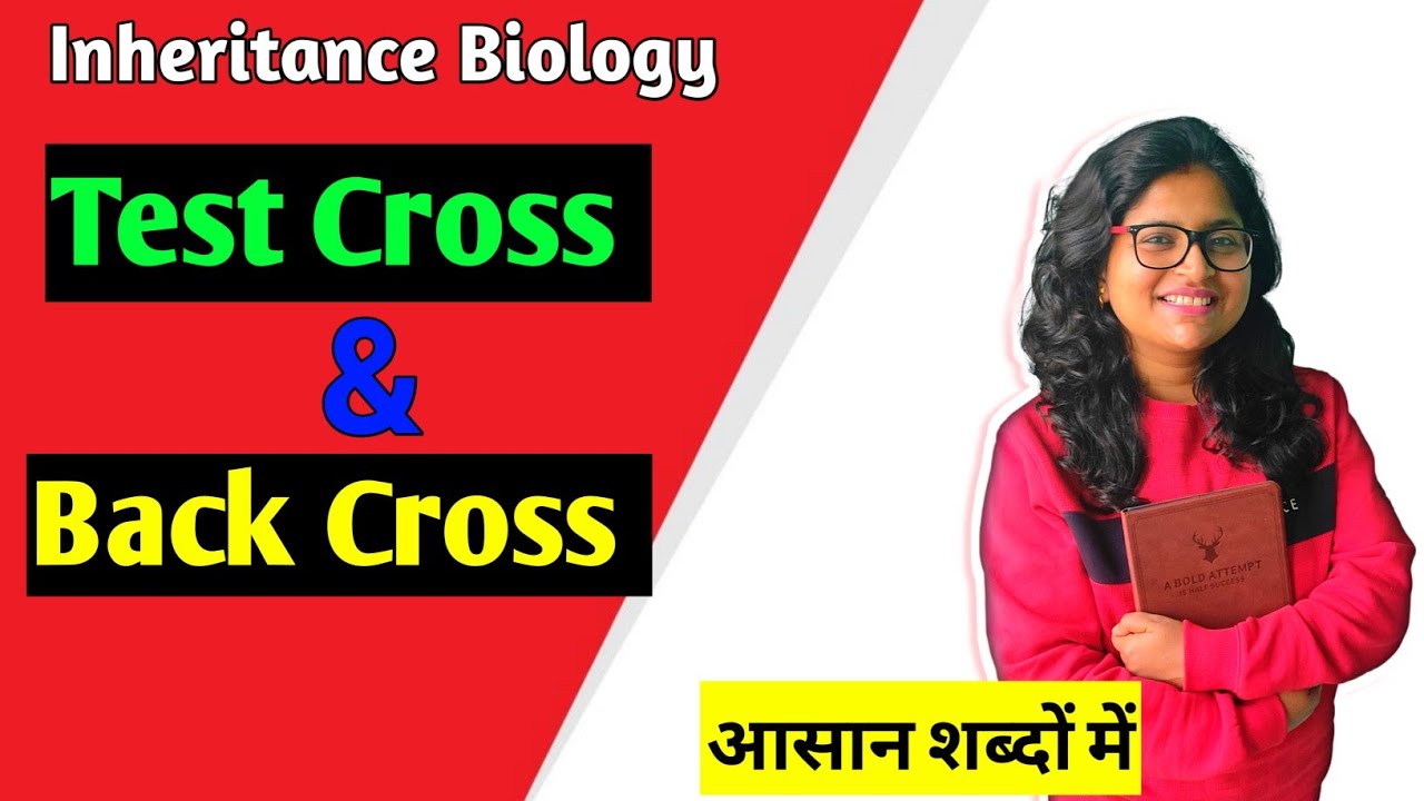 🔥💥 Test Cross & Back Cross | #Testcross #backcross - YouTube