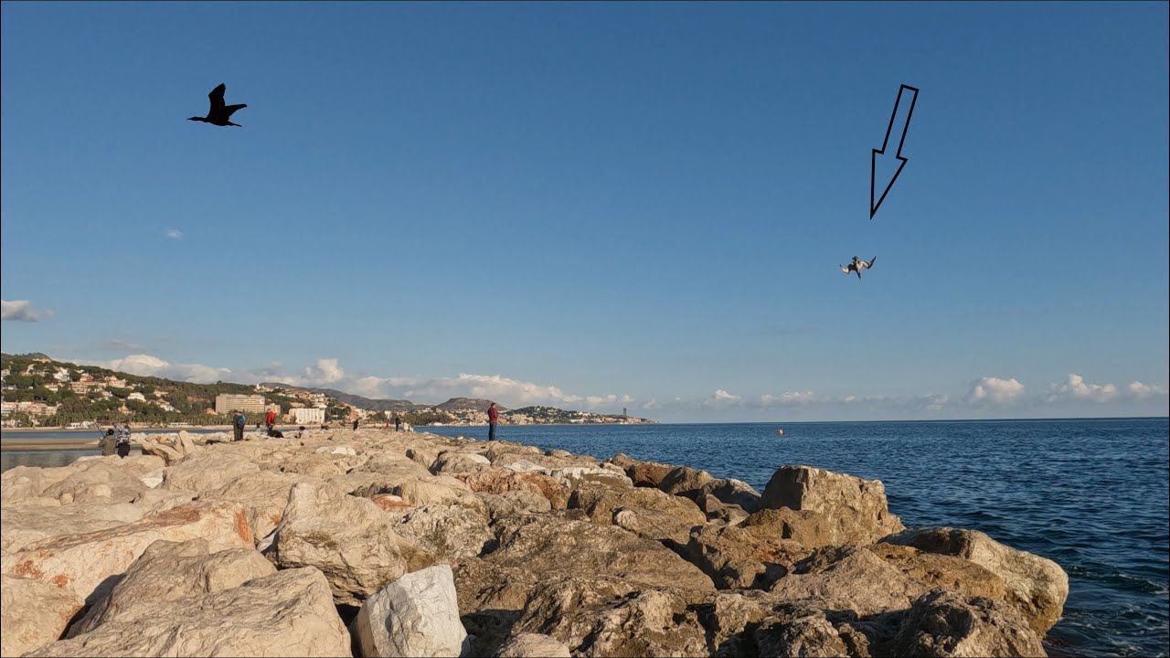 Alcatraz negro, cazadores implacables - YouTube