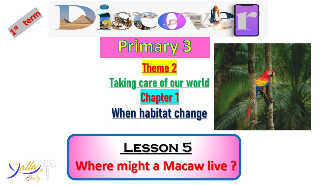Discover chapter 1 lesson 5 theme 2 primary 3 first term - YouTube