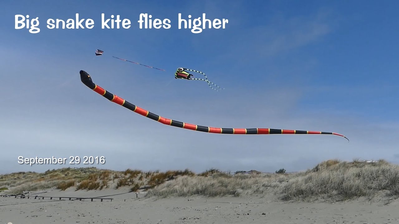Big snake kite flies higher - YouTube