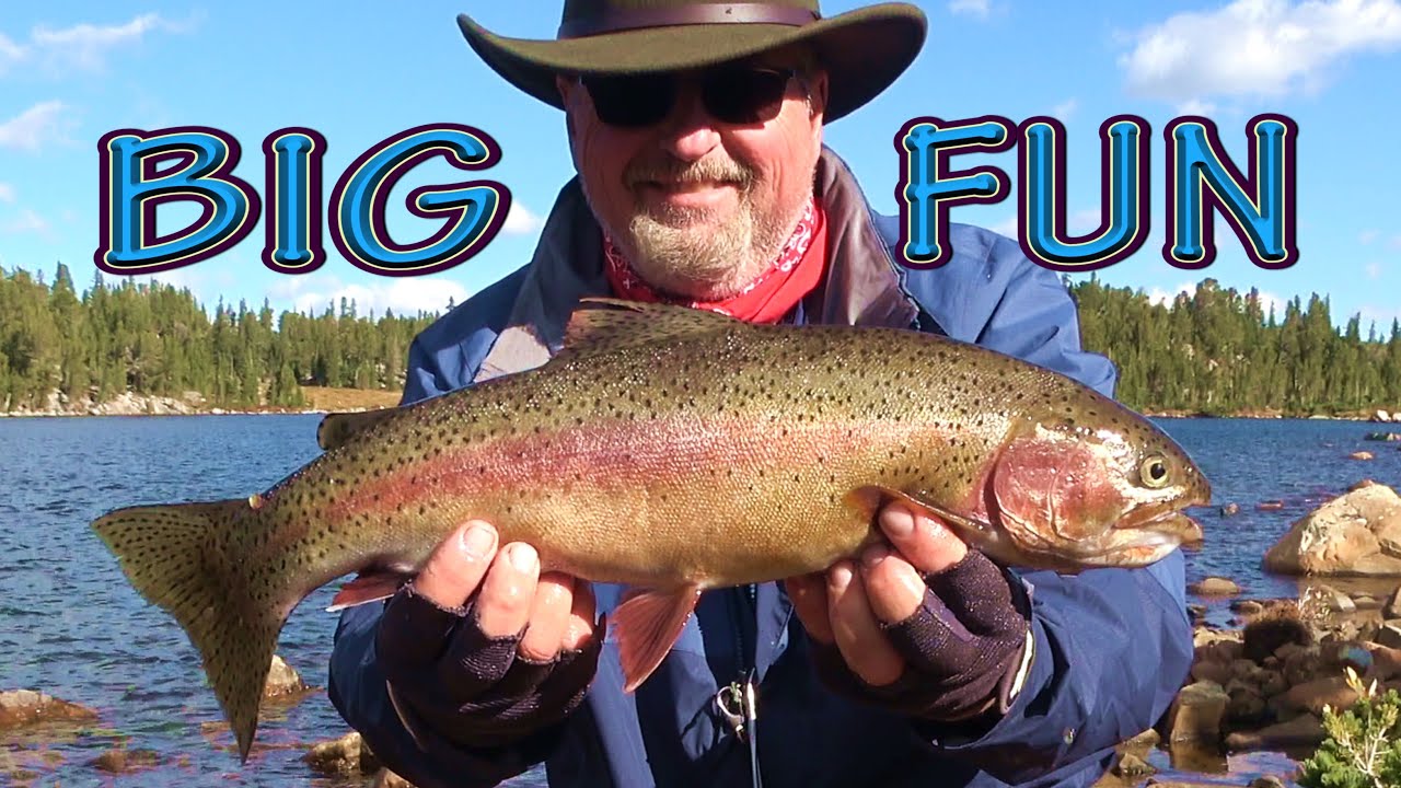 TROPHY TROUT LAKES 🏆 14 Days Solo Backpacking (Catch and Cook Fish ...