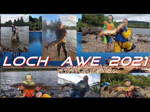 LOCH AWE ---fishing and wild camping - YouTube