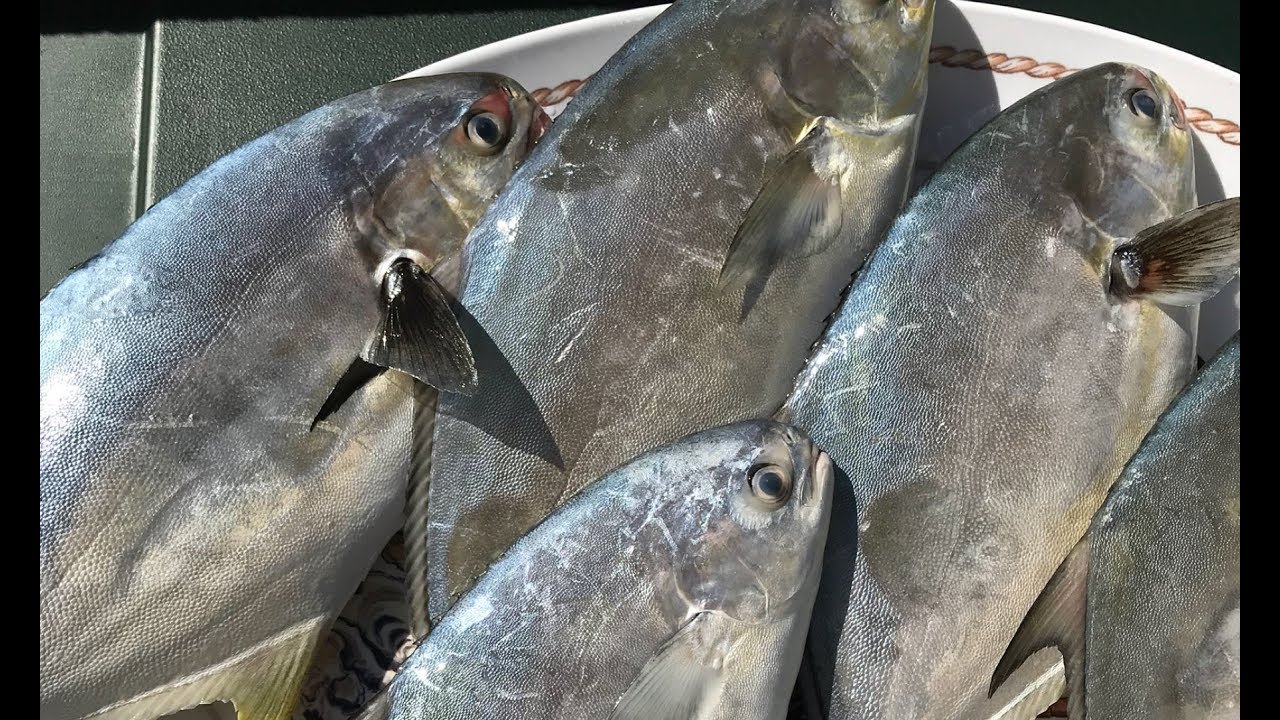 How to cook pompano - YouTube