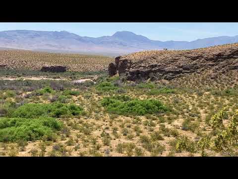 DATPHUHUNG LLC ( Littlefield - Mesquite, NV) - YouTube