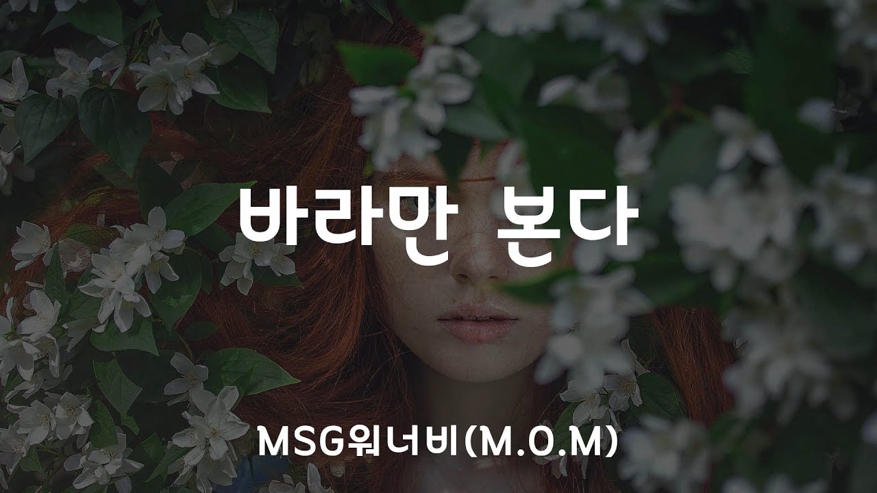 msg-m-o-m-youtube