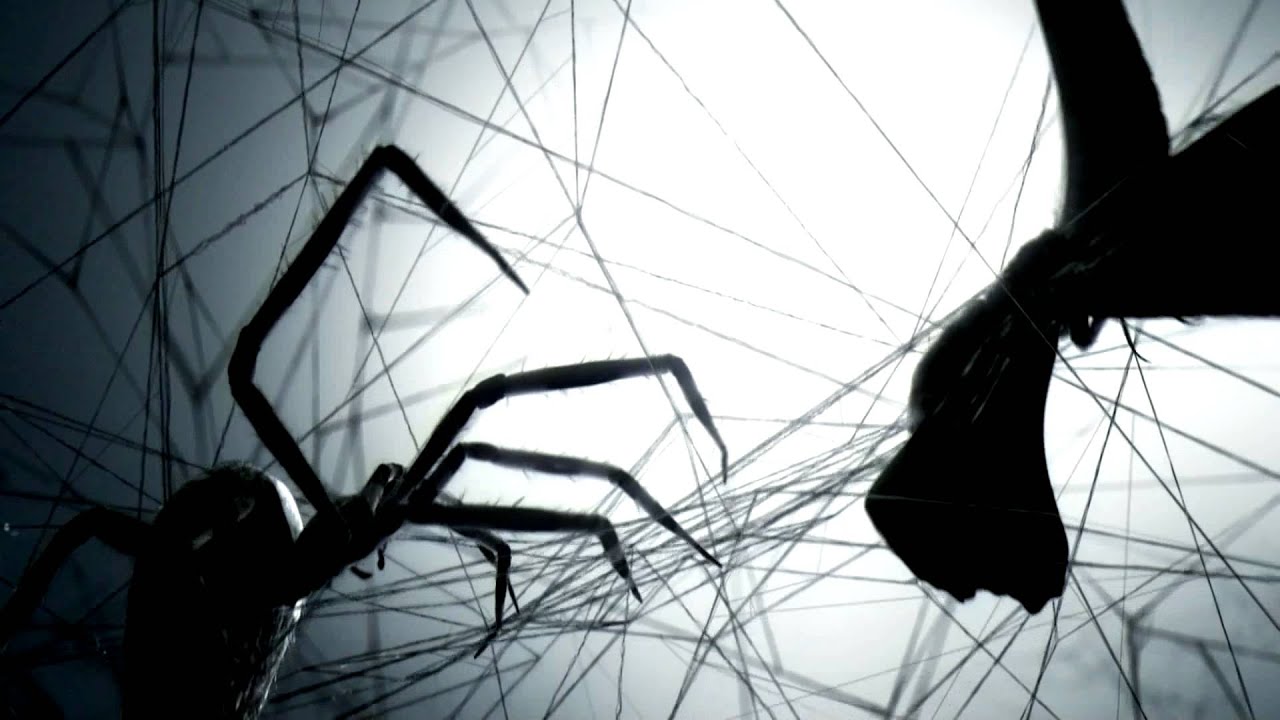 RTL CRIME HD Trailer - Tödlich bis ins Detail Kampagne - YouTube