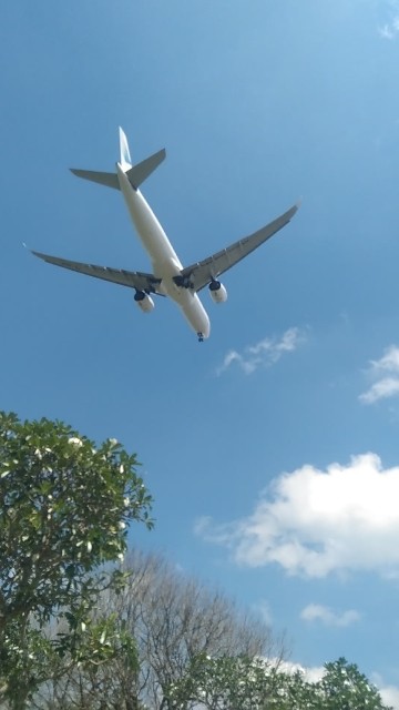 Airbus A330-941 Neo Garuda Indonesia PK-GHH Takeoff from Surakarta (SOC ...