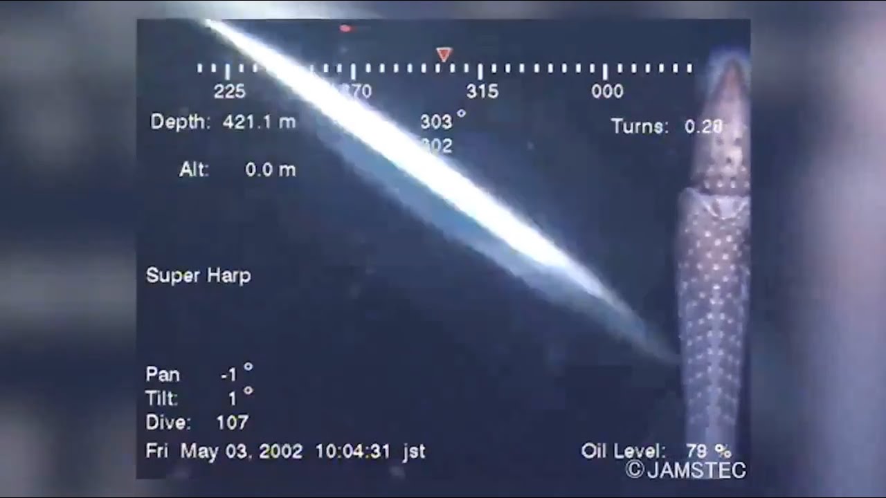 The UAP Reality | Unidentified Submerged Objects (USOs) Pt. 2 - YouTube