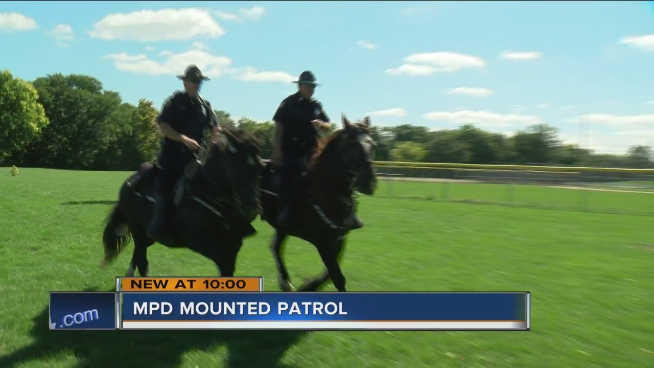 MPD hopes to grow its Mounted Patrol Unit - YouTube
