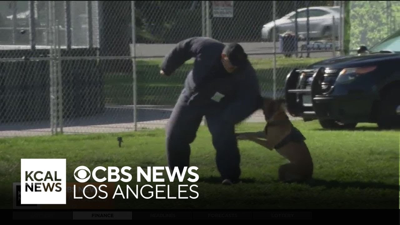 New police K-9 training facility opens in Garden Grove - YouTube