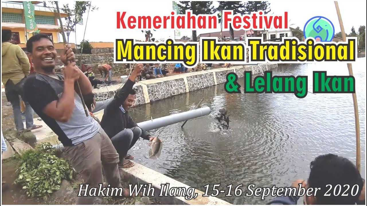 Festival Mancing Ikan TRADISIONAL FISHING #mancing - YouTube