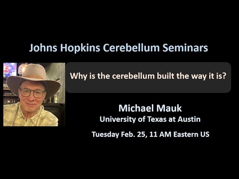 Michael Mauk: Why is the cerebellum built the way it is? - YouTube