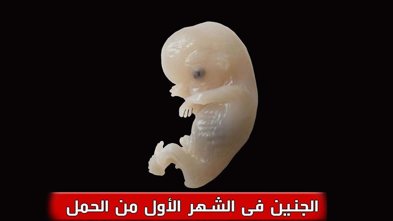 YouTube youtube