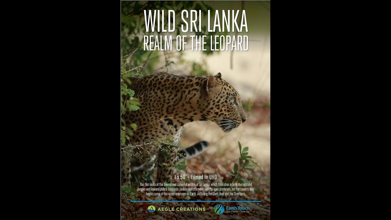 Дикая Шри-Ланка: царство леопардов / Wild Sri Lanka: Realm of the Leopard - YouTube
