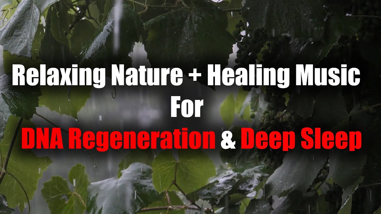 Relaxing and Soothing Music For Deep Sleep & DNA Regeneration - YouTube