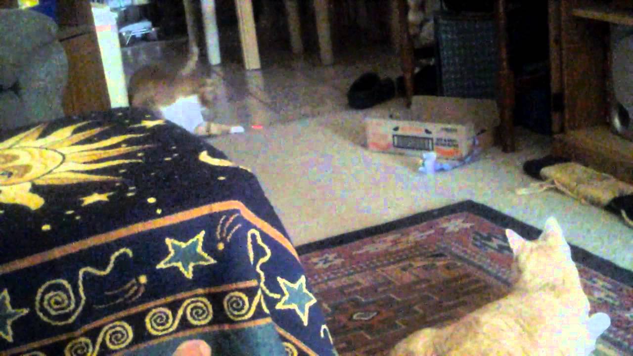 Jack & JJ Playing - YouTube