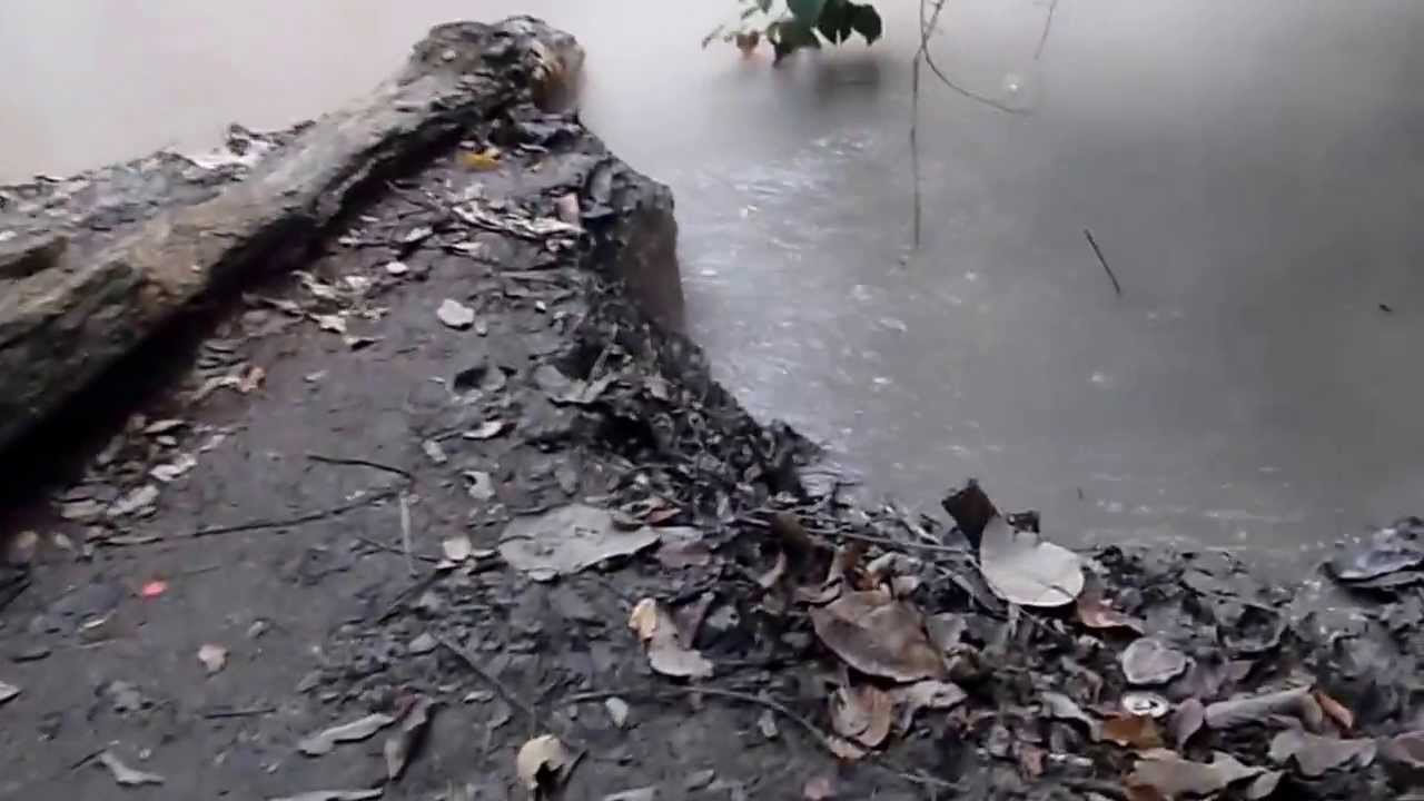 Mt. Makiling Mudspring - YouTube