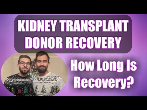 Kidney Donor Recovery - How Long Does Recovery Take? (Tips To Deal With ...